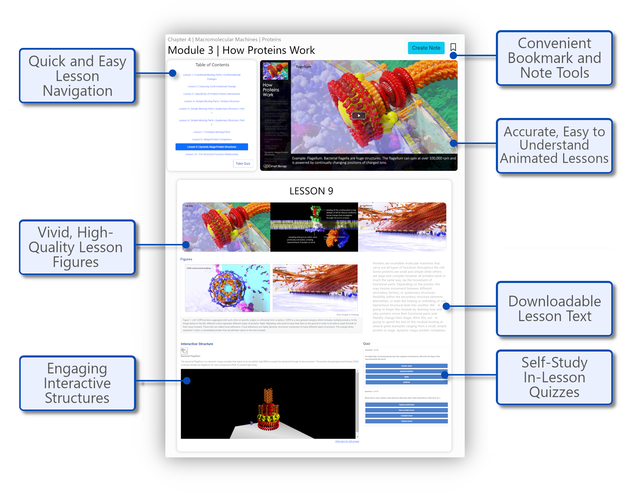 Smart Biology - Animated Textbooks for Understanding Biology