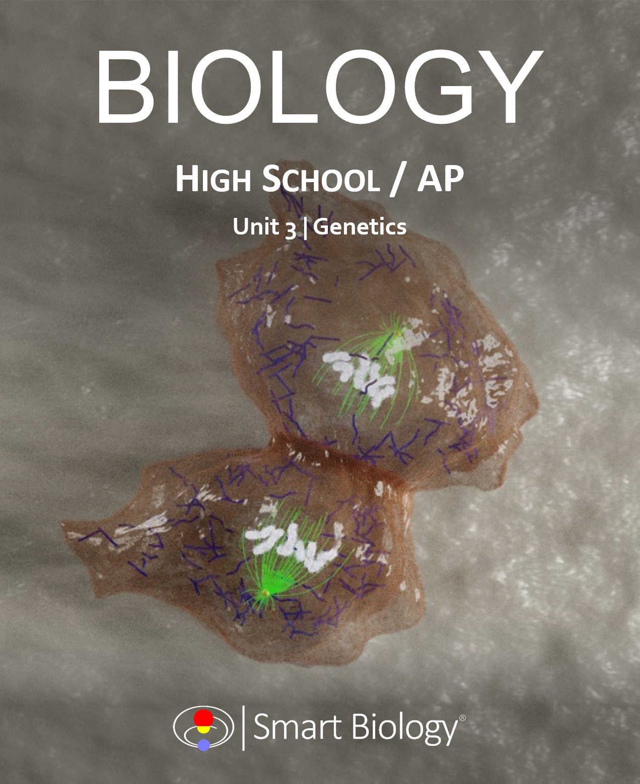 Smart Biology - Animated Textbooks for Understanding Biology