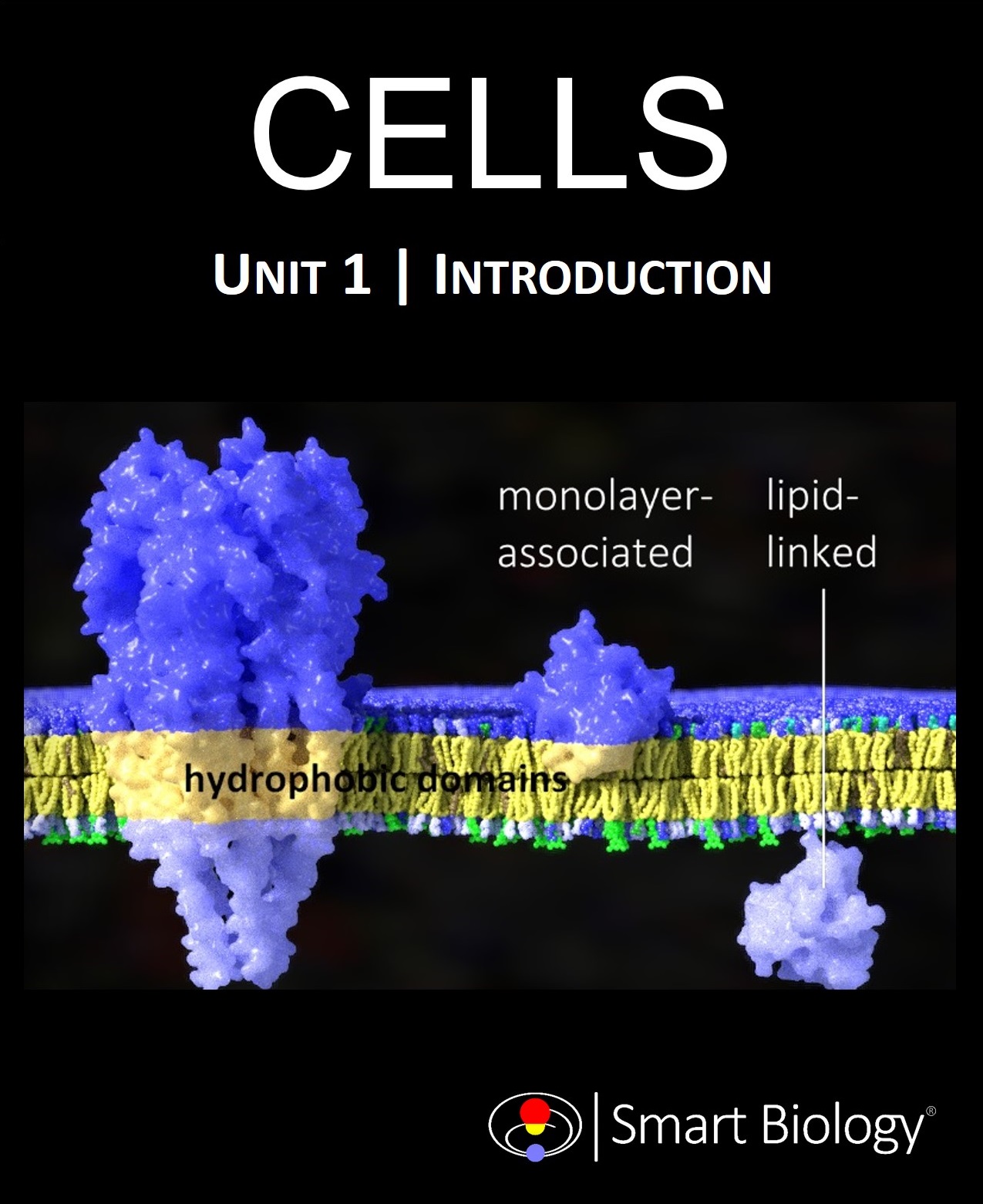 Smart Biology - Animated Textbooks for Understanding Biology