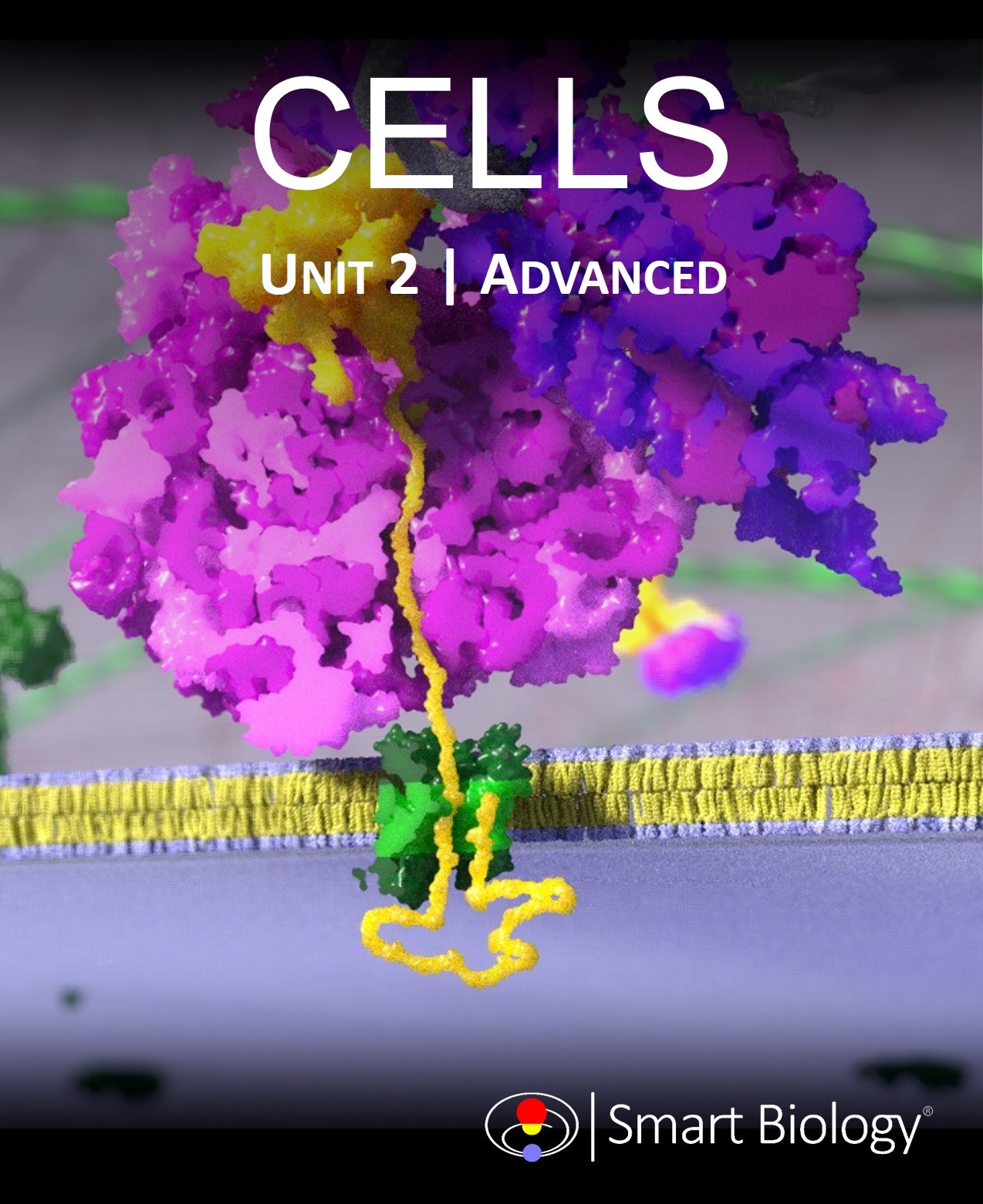 Smart Biology - Animated Textbooks for Understanding Biology