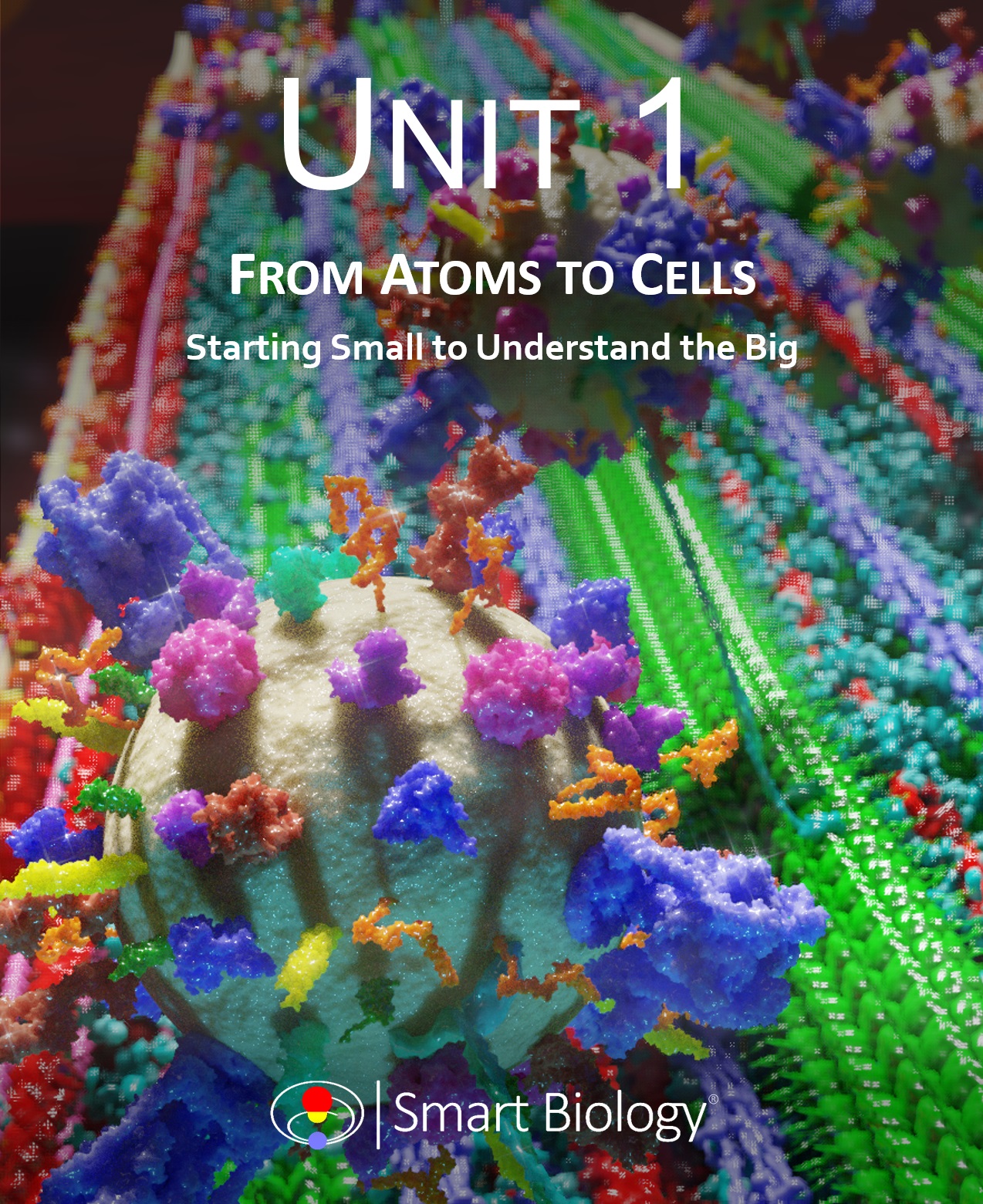 Smart Biology - Animated Textbooks for Understanding Biology