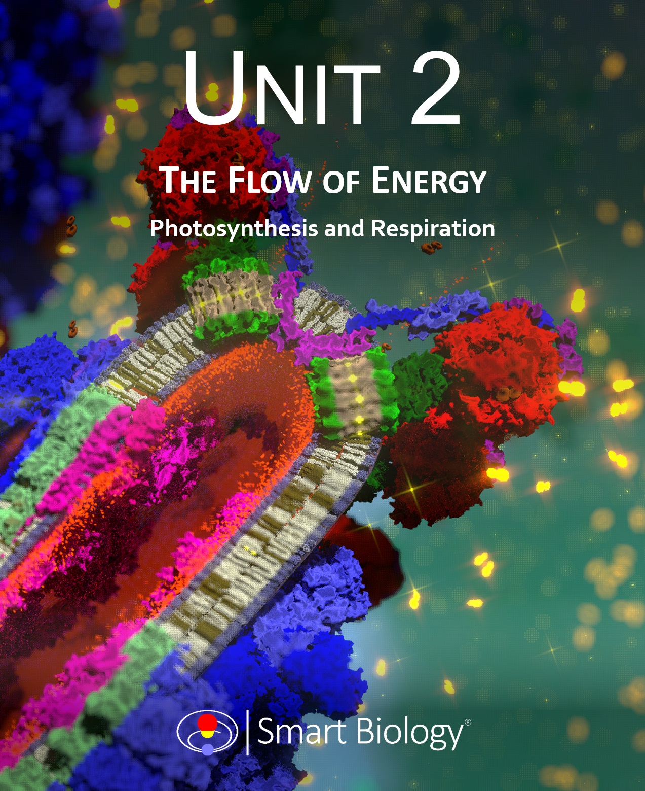 Smart Biology - Animated Textbooks for Understanding Biology