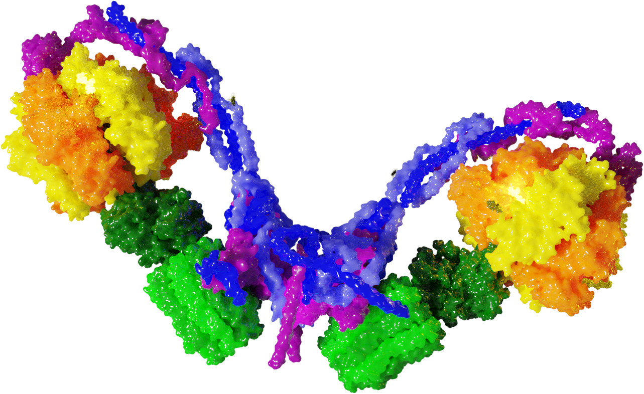 Smart Biology - Animated Textbooks for Understanding Biology