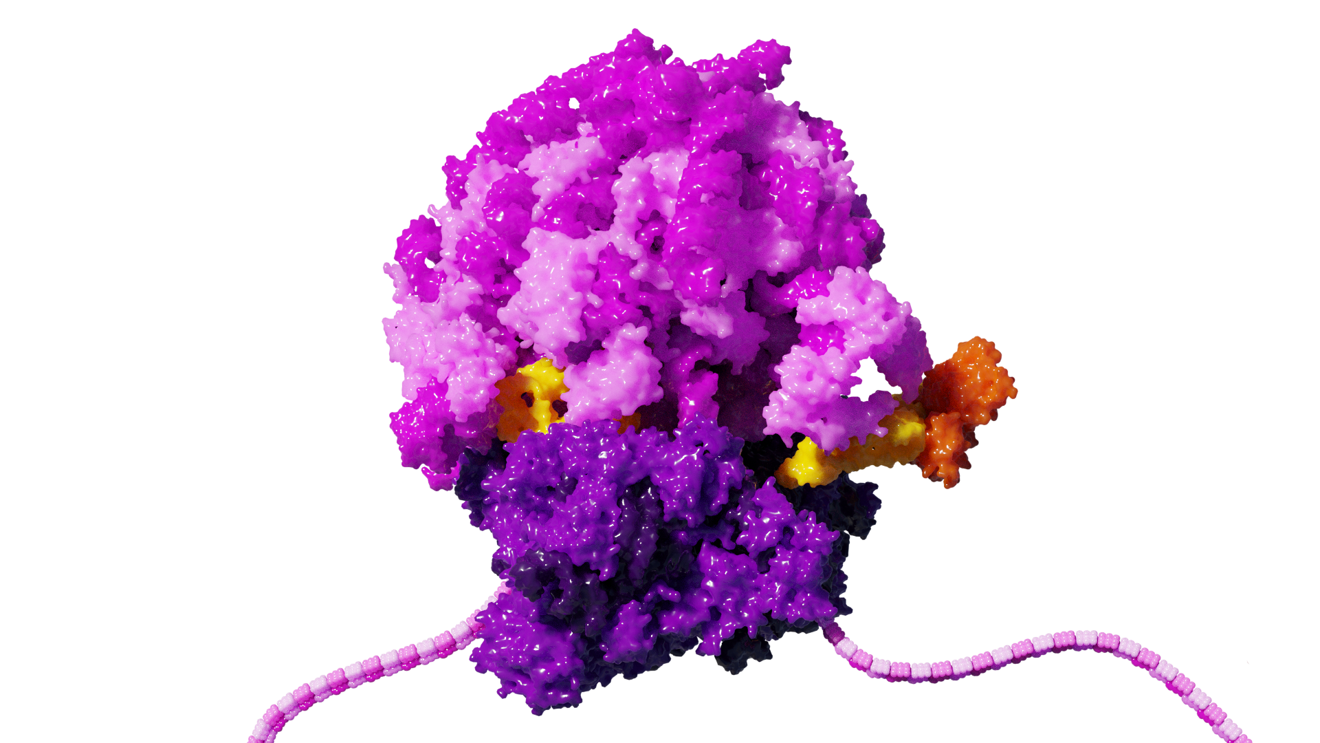 Smart Biology - Animated Textbooks for Understanding Biology